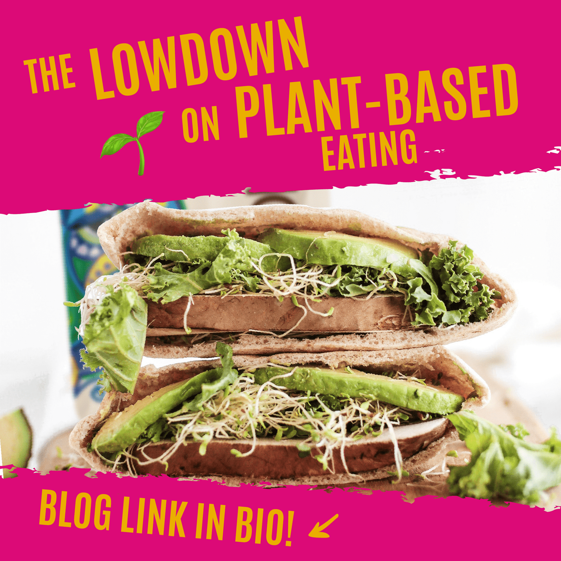 Boundless Gut Happy Snacking: Activated Vegan Snacks To Your Door ...